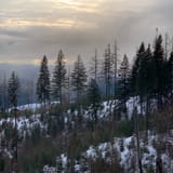 Palouse Divide to Lane's Lookout, Idaho - 23 Reviews, Map | AllTrails