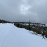 Palouse Divide to Lane's Lookout, Idaho - 23 Reviews, Map | AllTrails