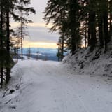 Palouse Divide to Lane's Lookout, Idaho - 23 Reviews, Map | AllTrails