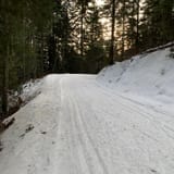 Palouse Divide to Lane's Lookout, Idaho - 23 Reviews, Map | AllTrails