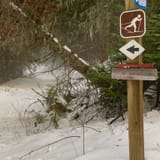 Palouse Divide to Lane's Lookout, Idaho - 35 Reviews, Map | AllTrails