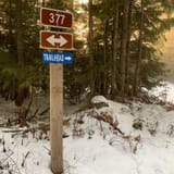 Palouse Divide to Lane's Lookout, Idaho - 23 Reviews, Map | AllTrails