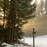 Palouse Divide to Lane's Lookout, Idaho - 35 Reviews, Map | AllTrails