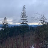 Palouse Divide to Lane's Lookout, Idaho - 23 Reviews, Map | AllTrails