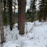 Palouse Divide to Lane's Lookout, Idaho - 23 Reviews, Map | AllTrails