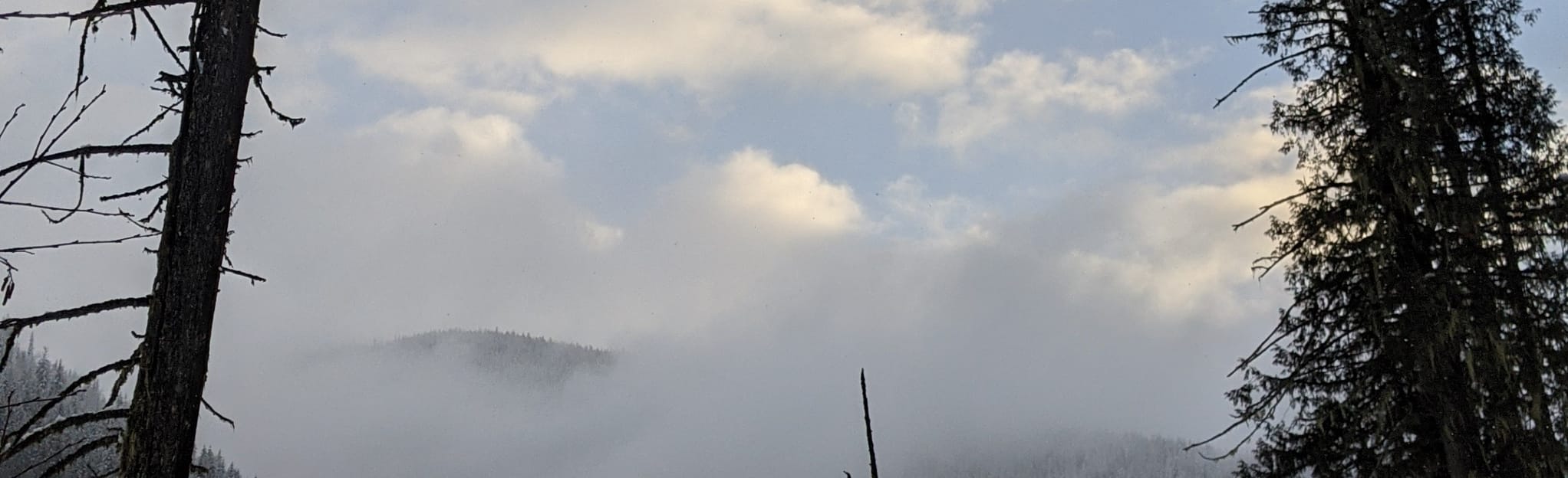 Big Cedar Loop, British Columbia, Canada - 8 Reviews, Map | AllTrails