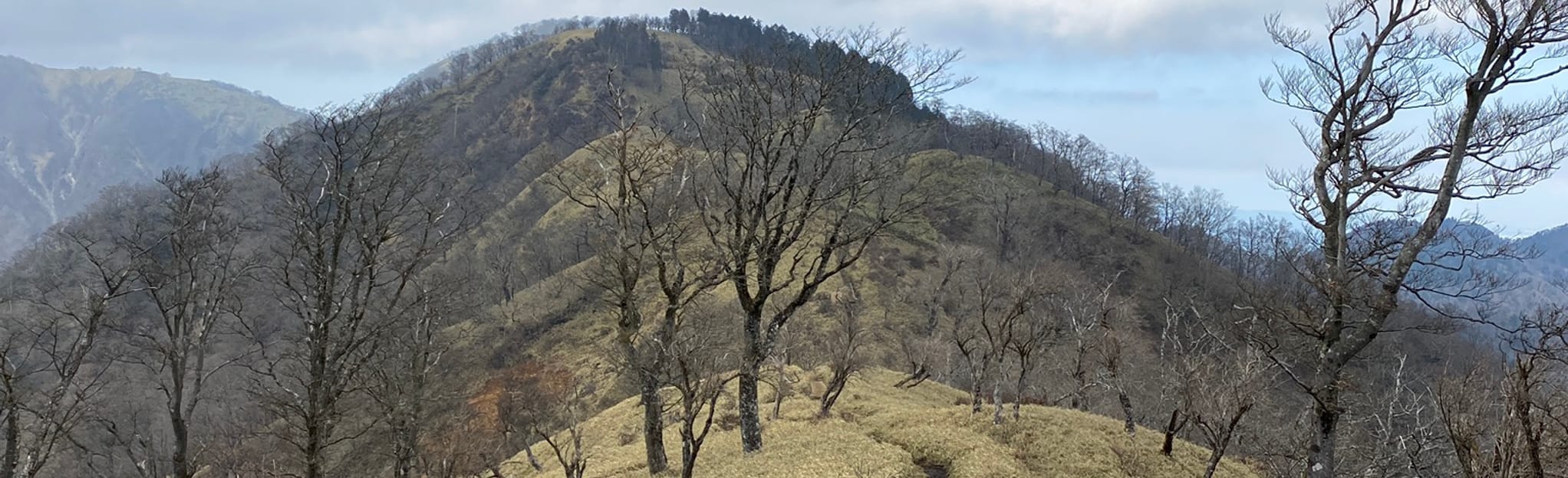 Mount Tanzawa - Okura Loop, Kanagawa, Japan - Map, Guide | AllTrails