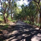 Fernleigh Track, New South Wales, Australia - 259 Reviews, Map | AllTrails