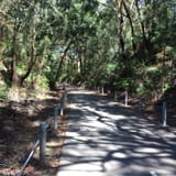 Fernleigh Track, New South Wales, Australia - 259 Reviews, Map | AllTrails