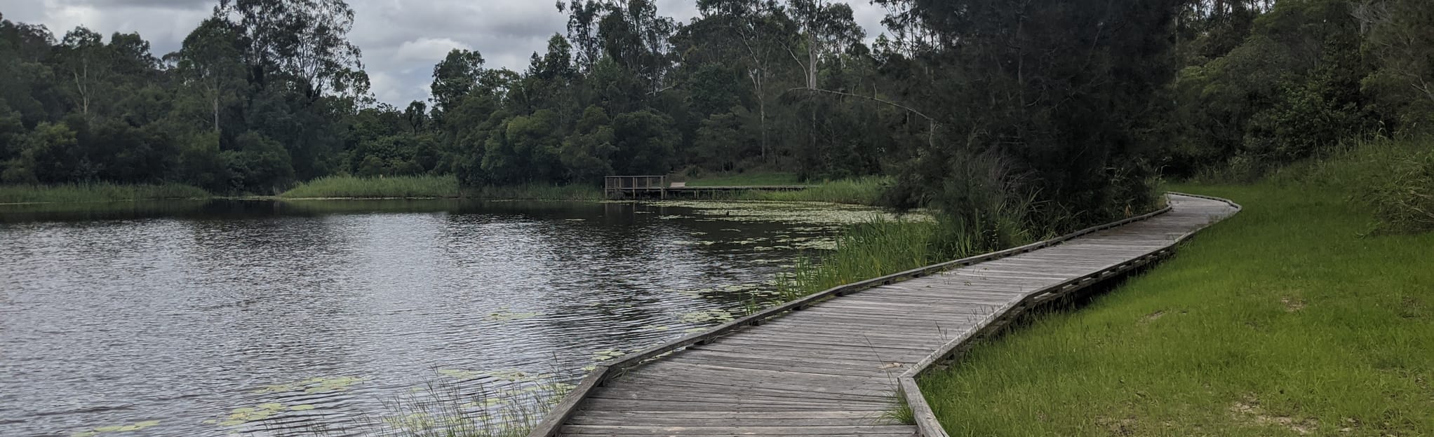 Forest Lake Loop, Queensland, Australia - 116 Reviews, Map | AllTrails