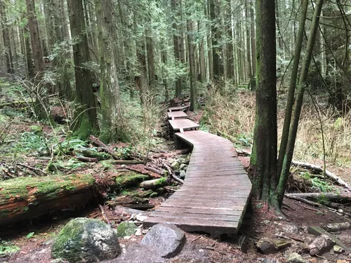 10 Best Hikes and Trails in Fromme Mountain Trail Network | AllTrails