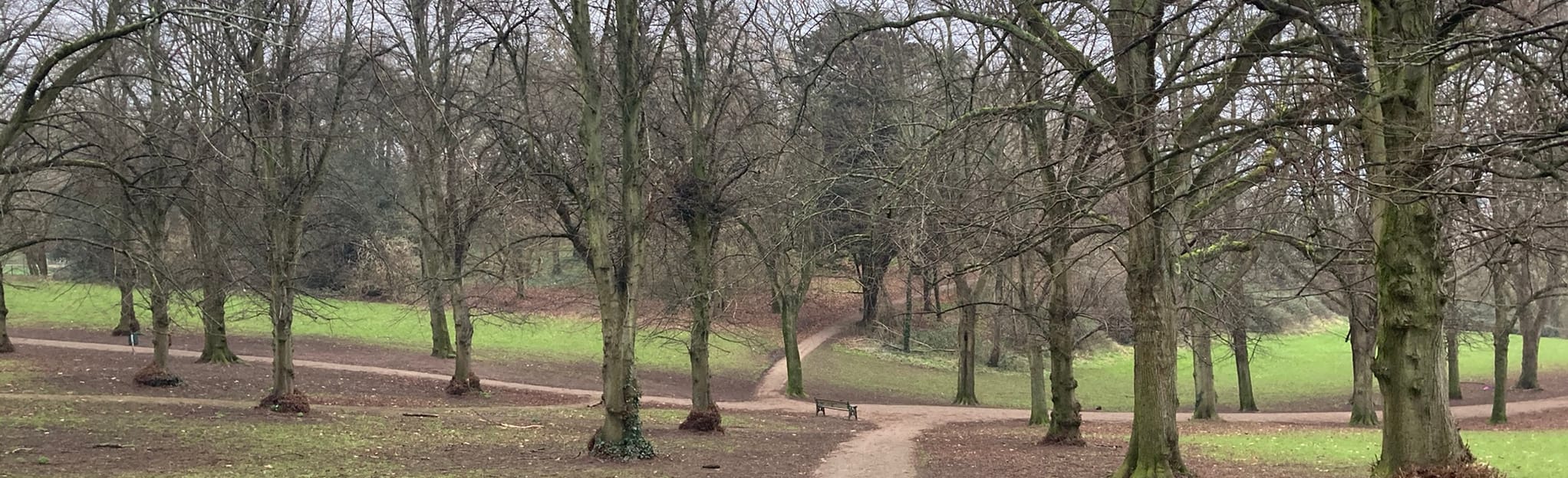 Ashcombe Park, Somerset, England - 7 Reviews, Map | AllTrails