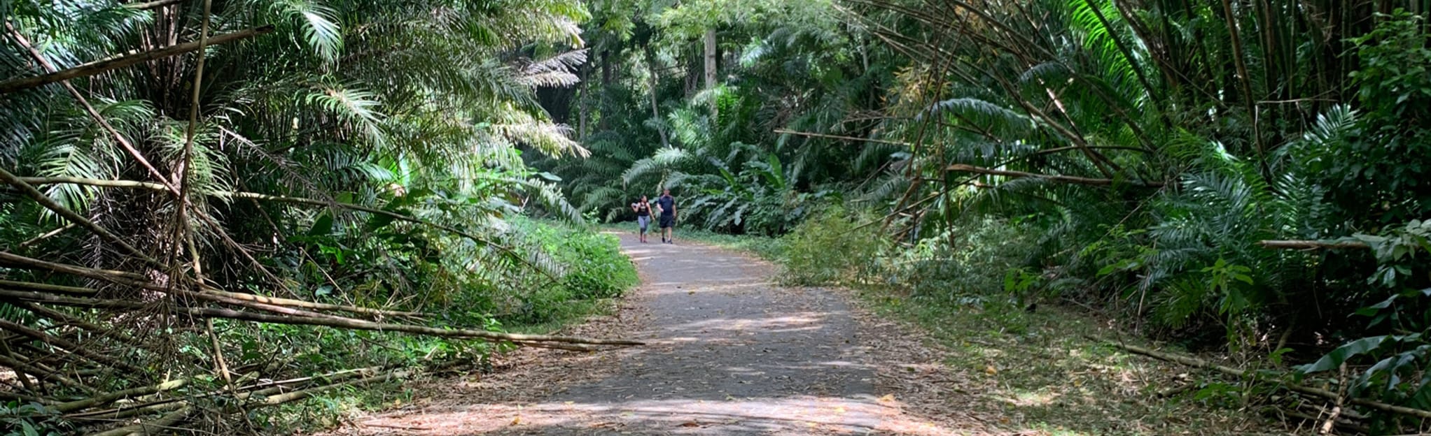 Bamboo Cathedral, Diego Martinal, Trinidad and Tobago - 8 Reviews, Map ...