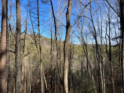 10 Best Trails and Hikes in Blue Ridge | AllTrails