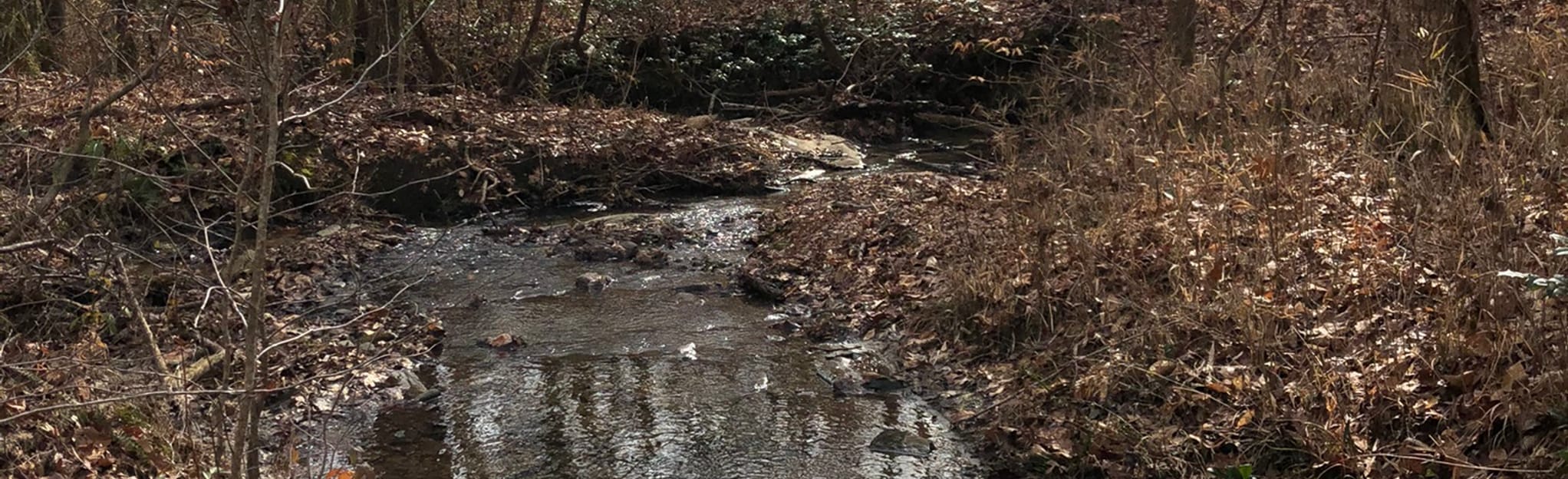 Frady Branch Trail System Perimeter Loop: 64 Reviews, Map - Georgia ...
