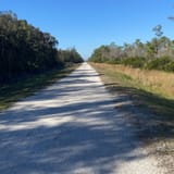 Grassy Waters Preserve: Owahee Trail, Florida - 133 Reviews, Map ...