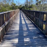 Grassy Waters Preserve: Owahee Trail, Florida - 133 Reviews, Map ...