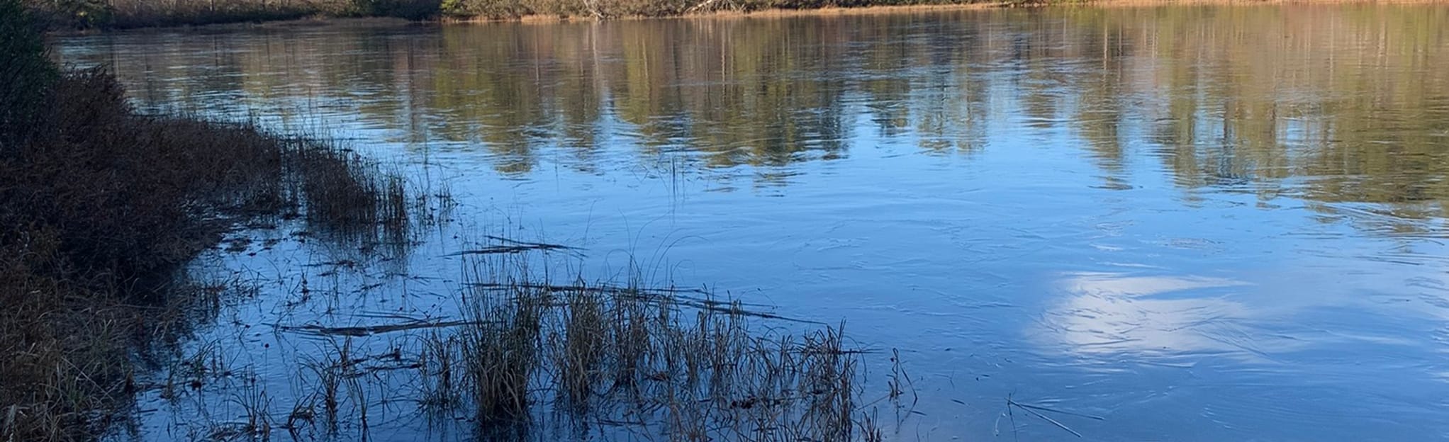 Sandy Pond via Wampmissick Trail and Paumanok Path: 35 Reviews, Map ...