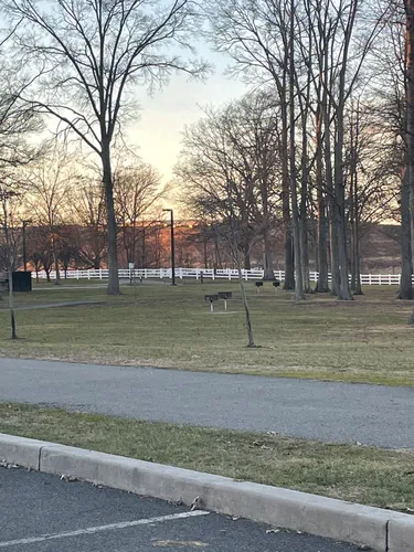 Best Hikes and Trails in Joseph Medwick County Park | AllTrails