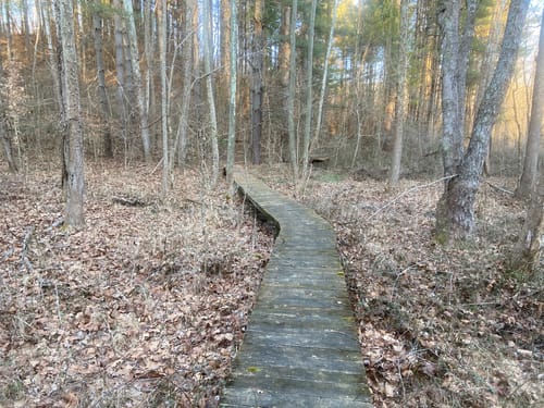 Best 10 Hikes and Trails in Wayne National Forest | AllTrails