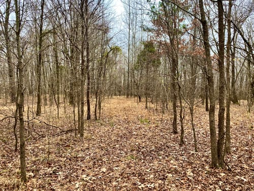 Best Hikes and Trails in Windward Slopes Park | AllTrails