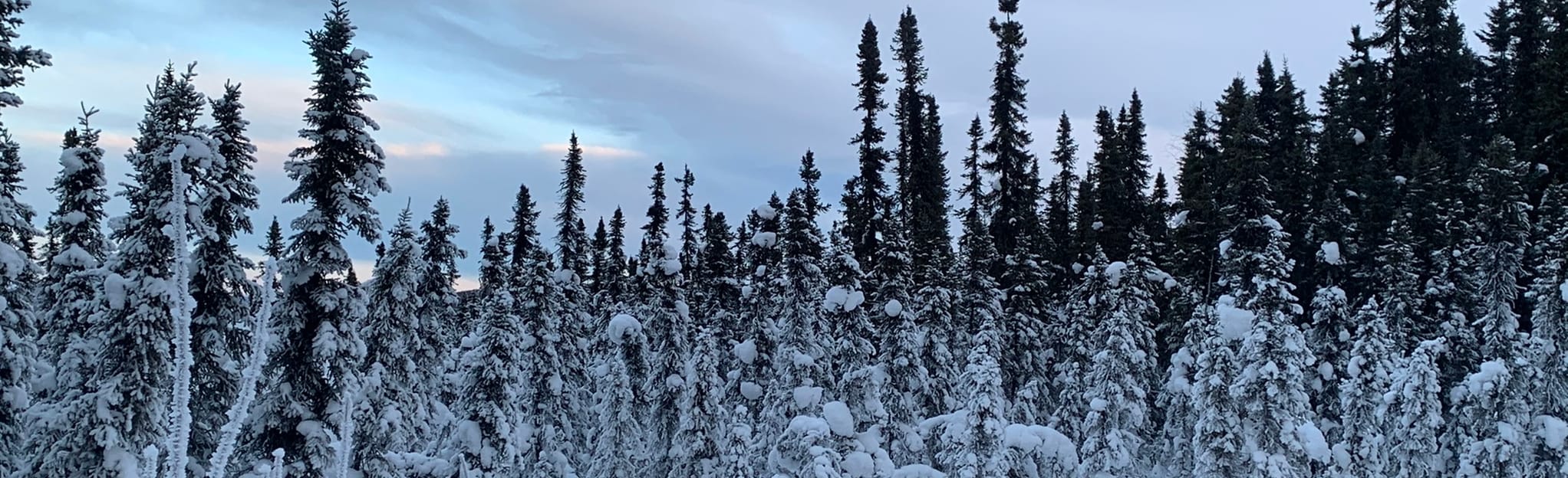 West Side Loop, Alaska - 90 Reviews, Map | AllTrails