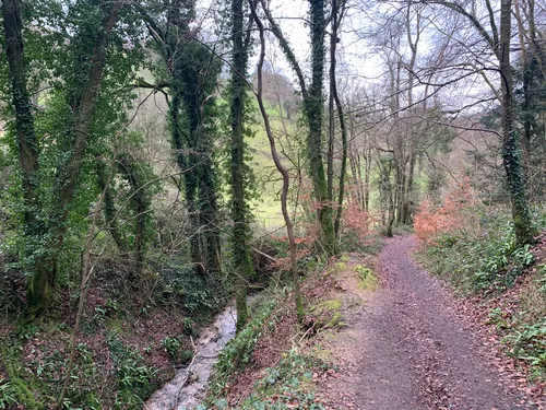 10 Best Trails, Walks, and Paths in Stroud | AllTrails