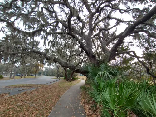 Best Hikes and Trails in Fishhawk Sports Complex Park | AllTrails