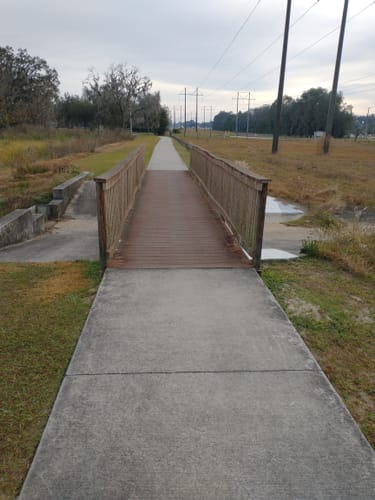 Best Hikes and Trails in Fishhawk Sports Complex Park | AllTrails