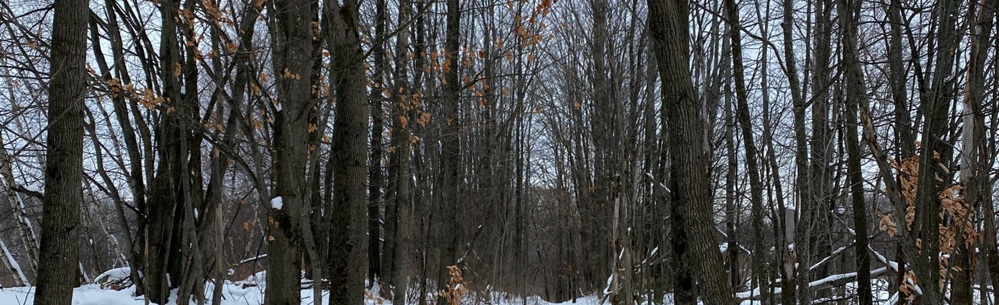Dunham Short Loop, Quebec, Canada - 11 Reviews, Map | AllTrails