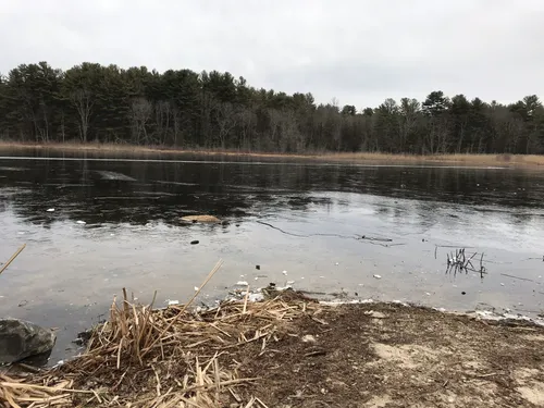Best Hikes and Trails in Ross Marsh Wildlife Area | AllTrails