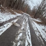 Stewart State Forest Foot Trail, New York - 424 Reviews, Map | AllTrails