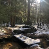 Tanbark Trail, Pennsylvania - 141 Reviews, Map | AllTrails