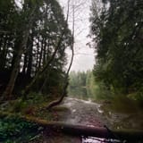 Colliery Dam Loop, British Columbia, Canada - 312 Reviews, Map | AllTrails