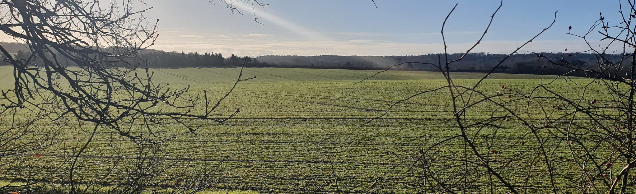 Marriott's Way from Freeland Corner, Norfolk, England - 24 Reviews, Map ...