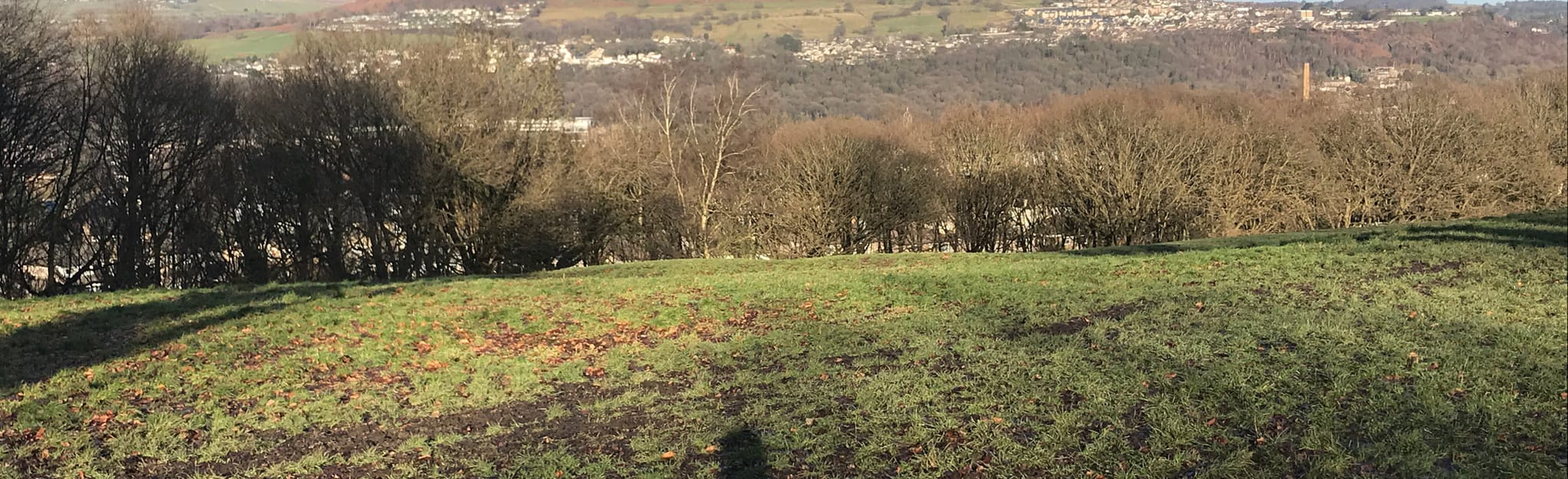 Northcliffe Woods Circular: 35 Fotos - West Yorkshire, England | AllTrails