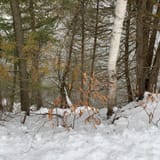 Tip-to-Tip Trail, Ontario, Canada - 161 Reviews, Map | AllTrails