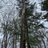 Tip-to-Tip Trail, Ontario, Canada - 161 Reviews, Map | AllTrails