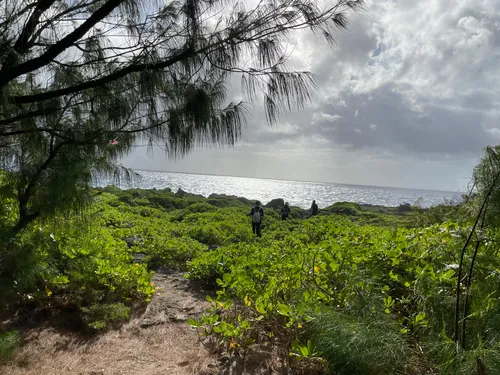 10 Best Trails and Hikes in Guam | AllTrails