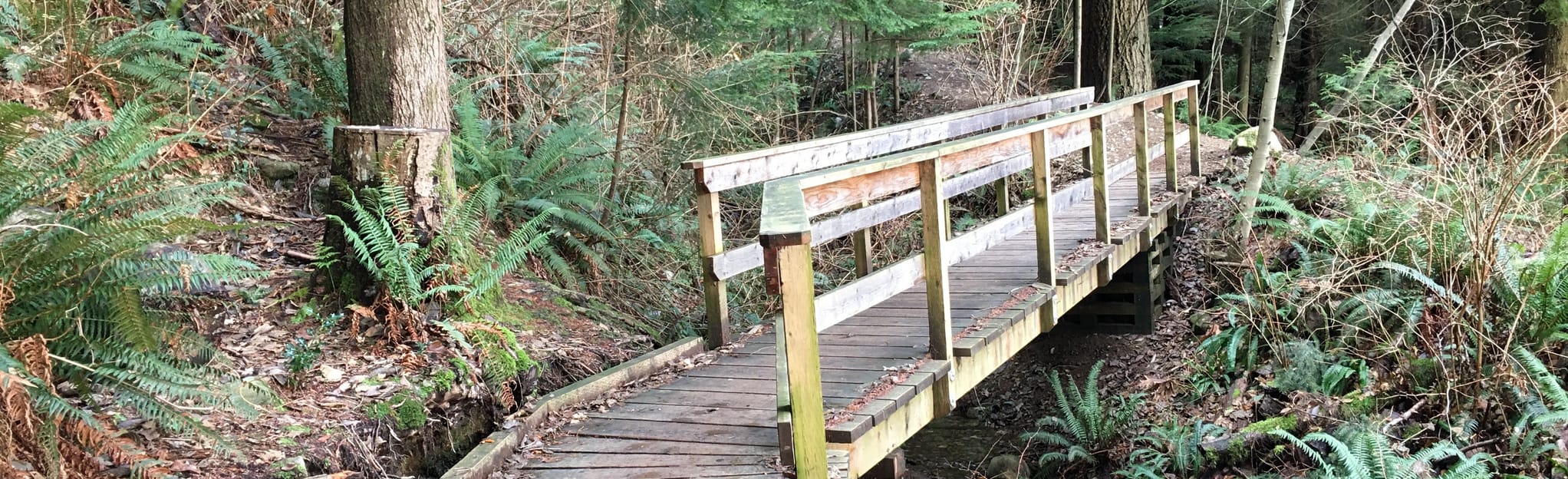 Quarry Court and Kilmer Trail Loop, 170 Fotos - British Columbia ...