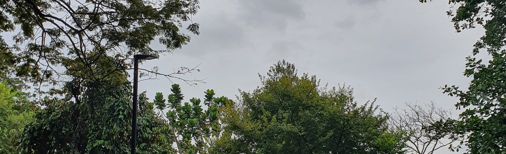 Labrador Park Loop, Central, Singapore - 35 Reviews, Map | AllTrails