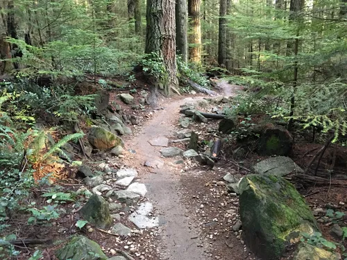 2023 Best Long Trails in Fromme Mountain Trail Network | AllTrails