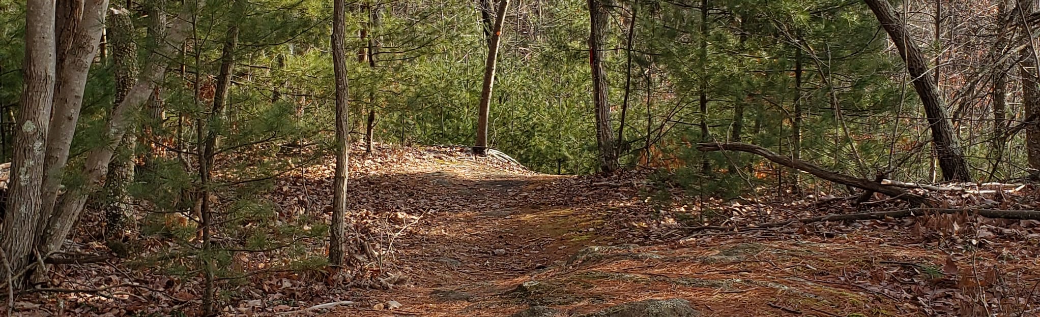 AllTrails | Orange and Blue Loop: 211 Reviews, Map - Connecticut
