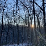 Beckwith Point Trail, Tennessee - 156 Reviews, Map | AllTrails