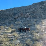 Redstone Dune Loop Trail, Nevada - 121 Reviews, Map | AllTrails