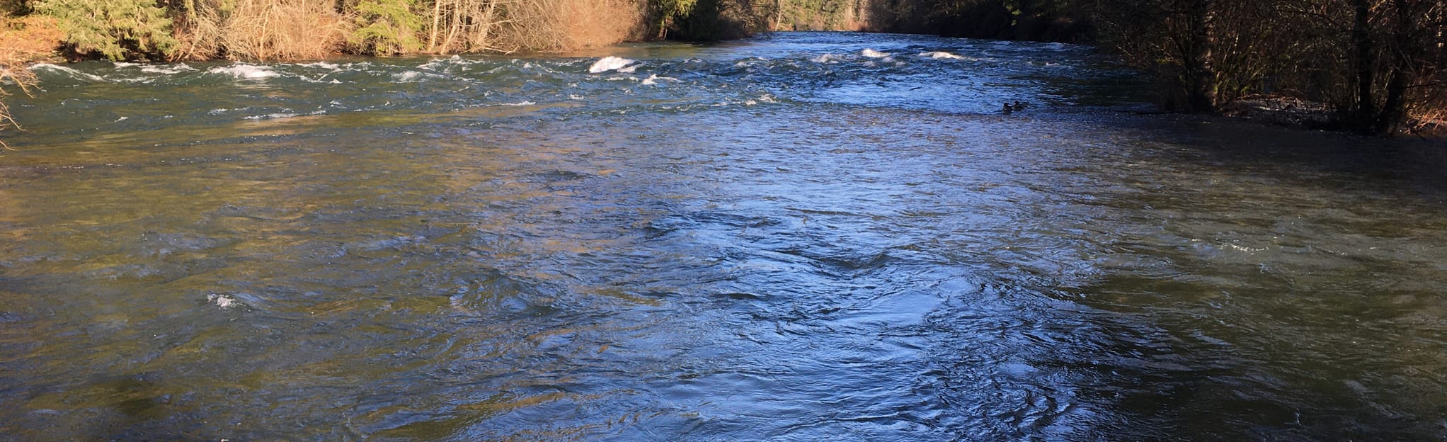 Puntledge Park, British Columbia, Canada - 23 Reviews, Map | AllTrails