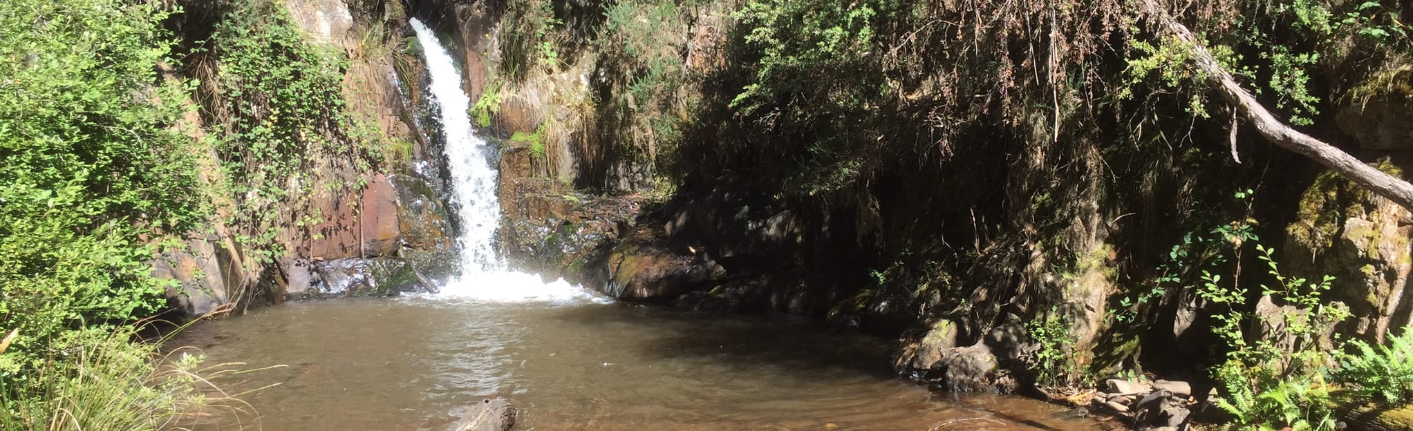 Rawes Track Waterfall, Victoria, Australia - 2 Reviews, Map | AllTrails
