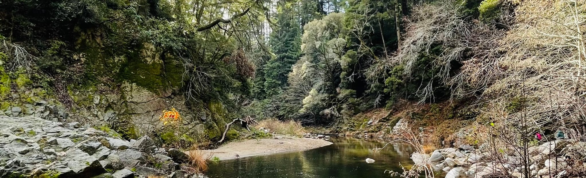 Ox Road Trail to Garden of Eden - California | AllTrails