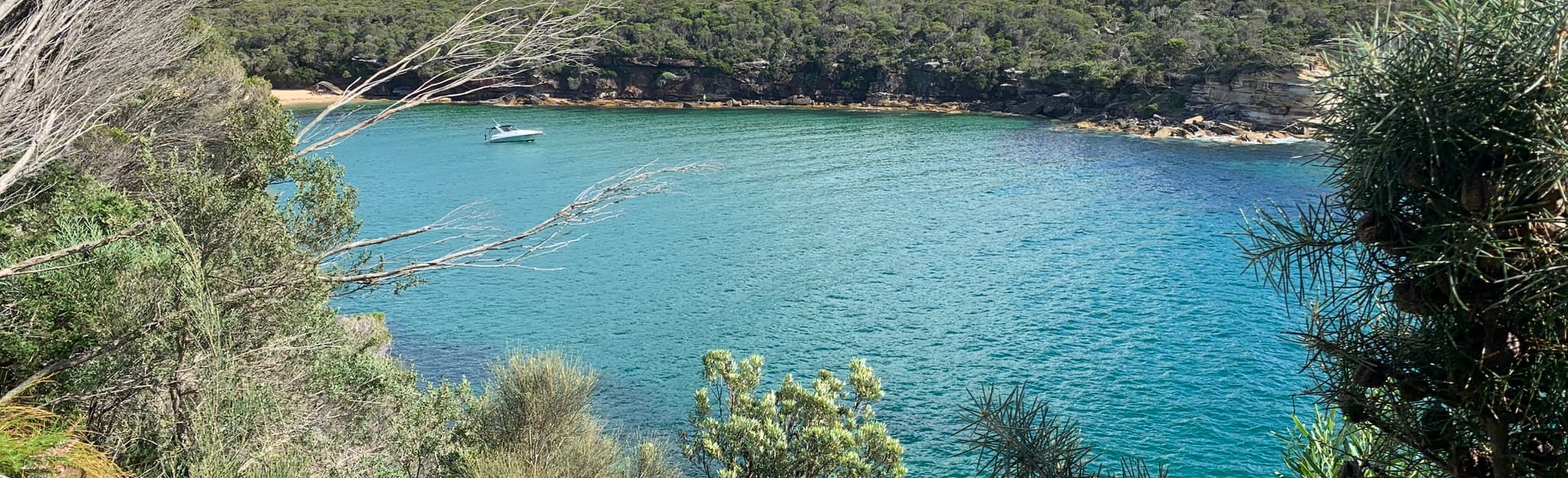 Curra Moors Firetrail to Wattamolla Beach: 8 Reviews, Map - New South ...