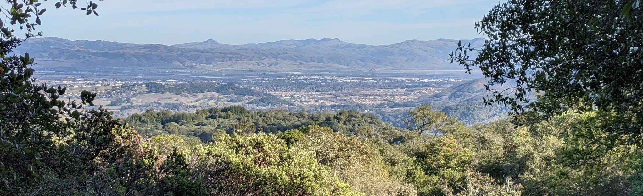 Sprig, Merry-Go-Round, and Tan Oak Loop - California | AllTrails